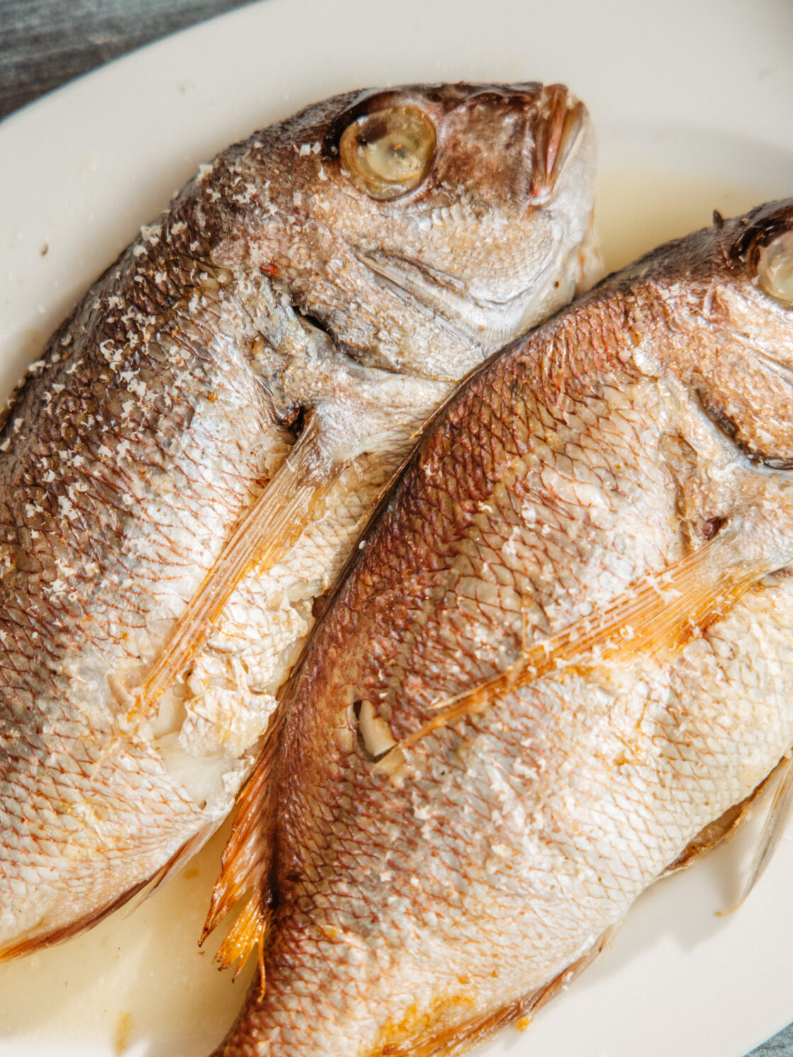 Jednostavna riba iz pećnice - pagar - Gladuša