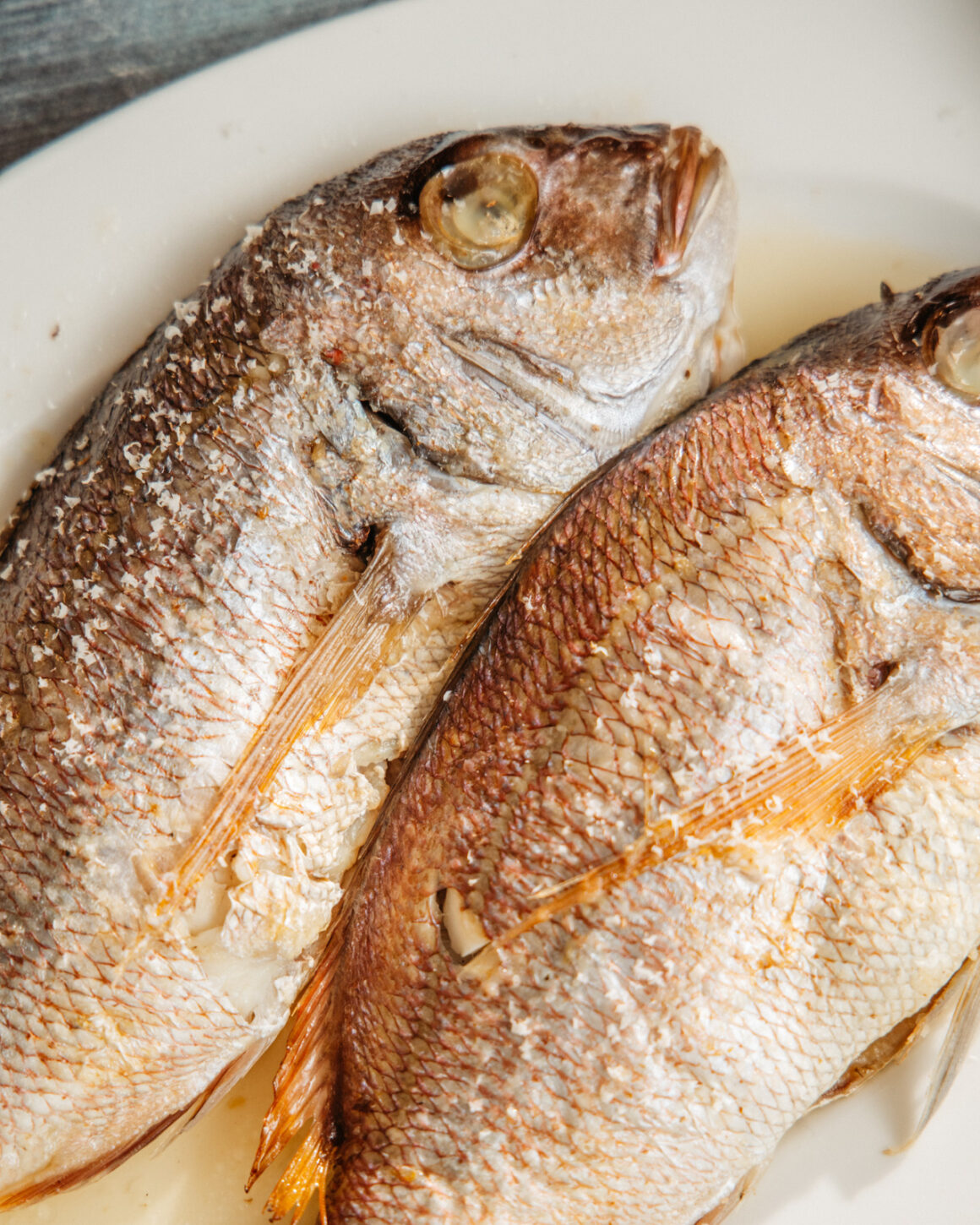 Jednostavna riba iz pećnice - pagar - Gladuša